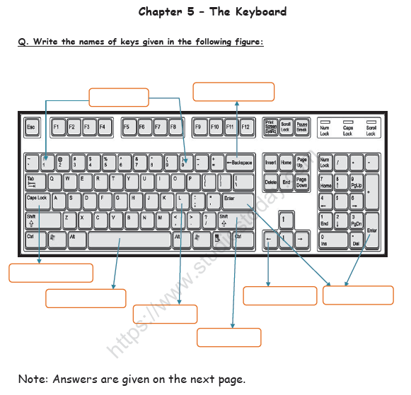 CBSE Class 1 Computer Science The Keyboard Worksheet CBSE Class 1 Computer Science The Keyboard Worksheet
